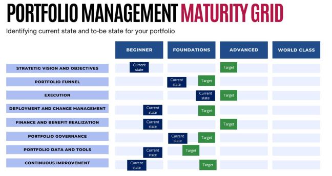 Developing strategic portfolio management practices step by step ...