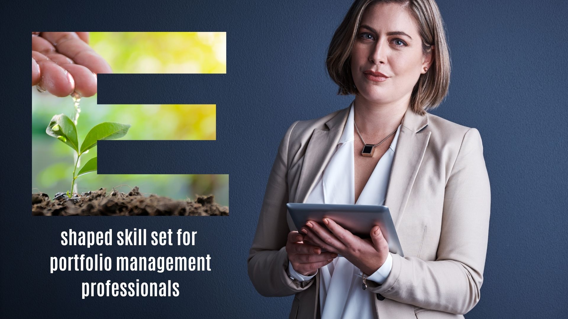 Developing your E-shaped portfolio management skill set – Strategic ...