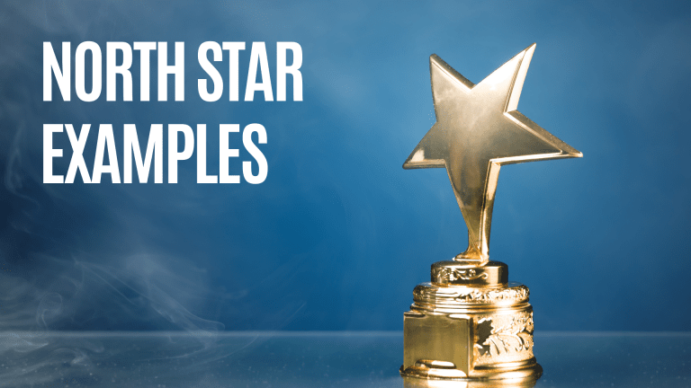 Finding Your North Star – Creating a Shared Long Term Vision ...
