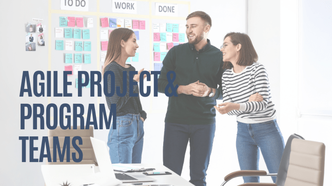 What Do You Call Your Agile Teams? – Strategic Portfolio Management